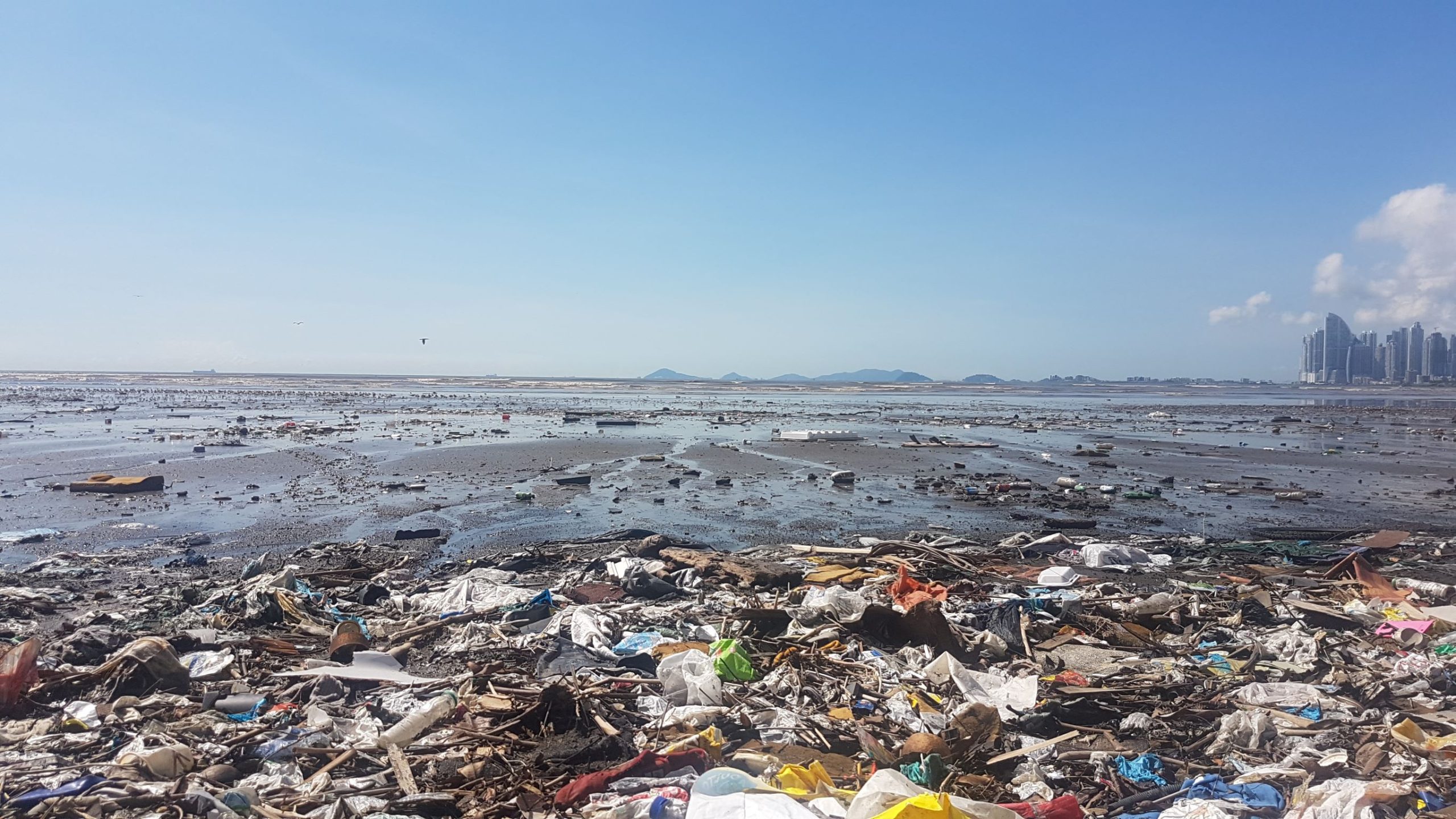 OBP Neutrality Subprogram - Circular Action Hub